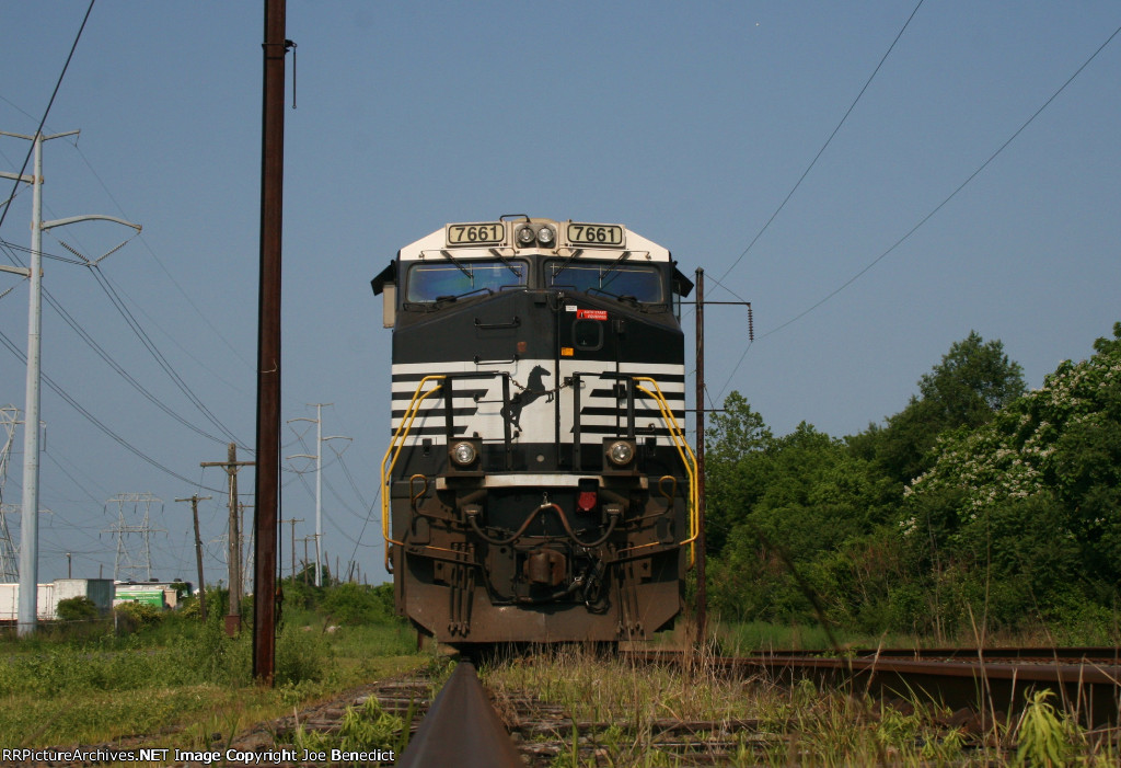 NS 7661 on 66Z
